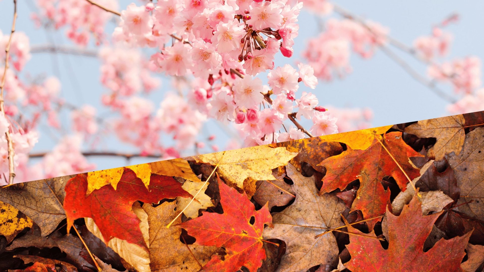 Why Detox? Hint: It’s Not Just a Buzzword! – Infinity Flexibility