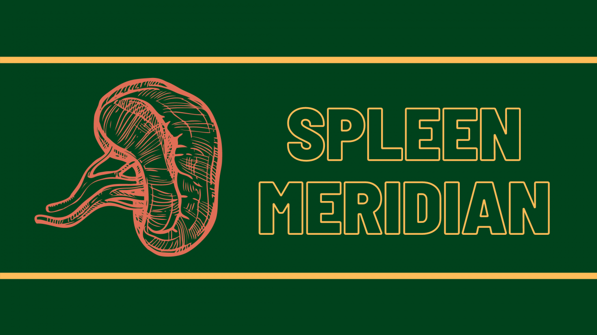The 6 Supportive Meridians That Will Heal Your Digestion – Infinity ...