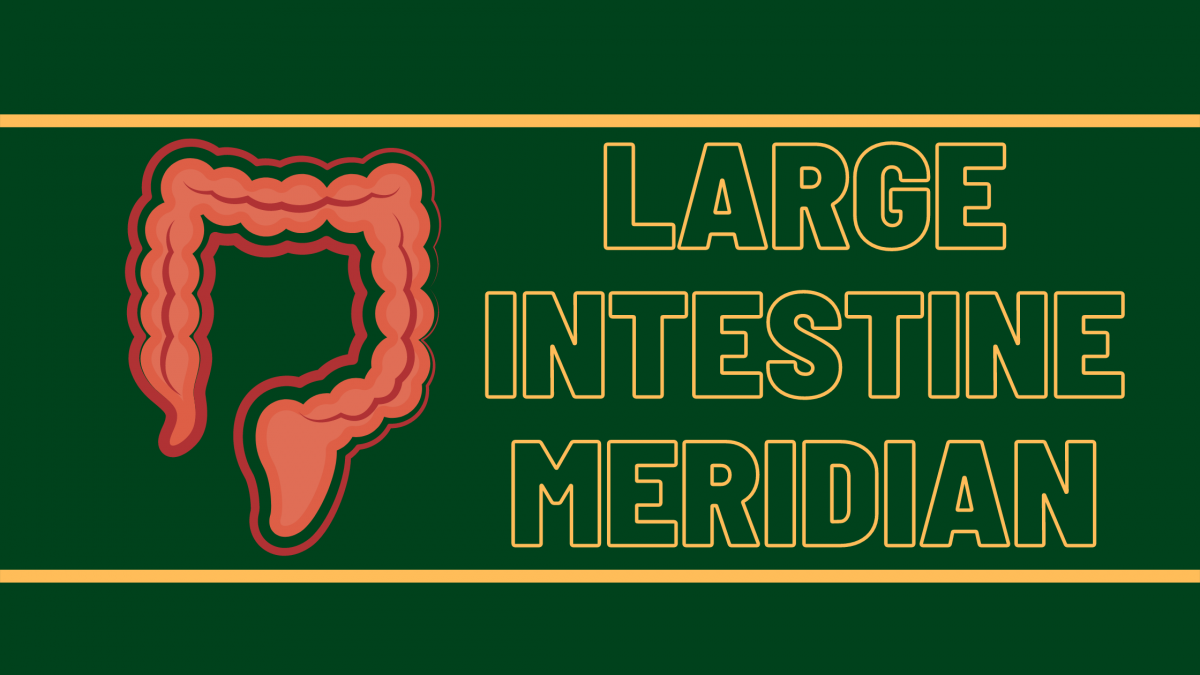 The 6 Supportive Meridians That Will Heal Your Digestion – Infinity ...