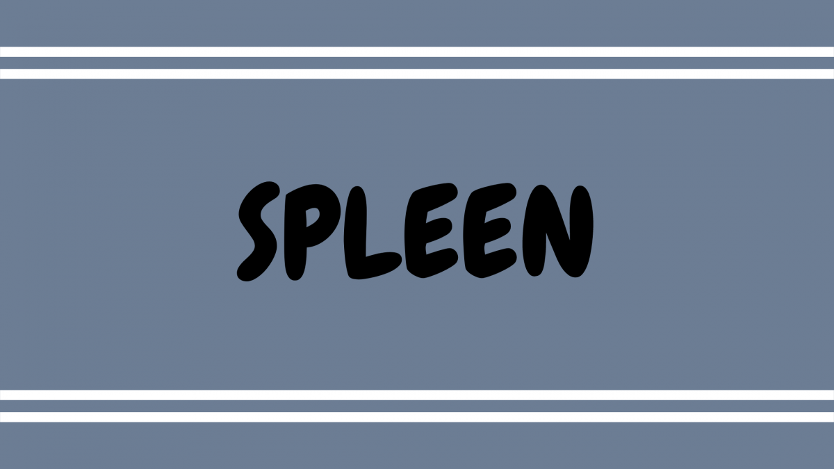 6 Powerful Immune System Meridians for Better Health – Infinity Flexibility