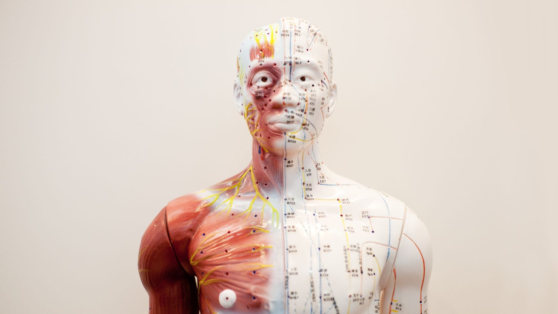 The Best Exercise for Your Meridians – Infinity Flexibility